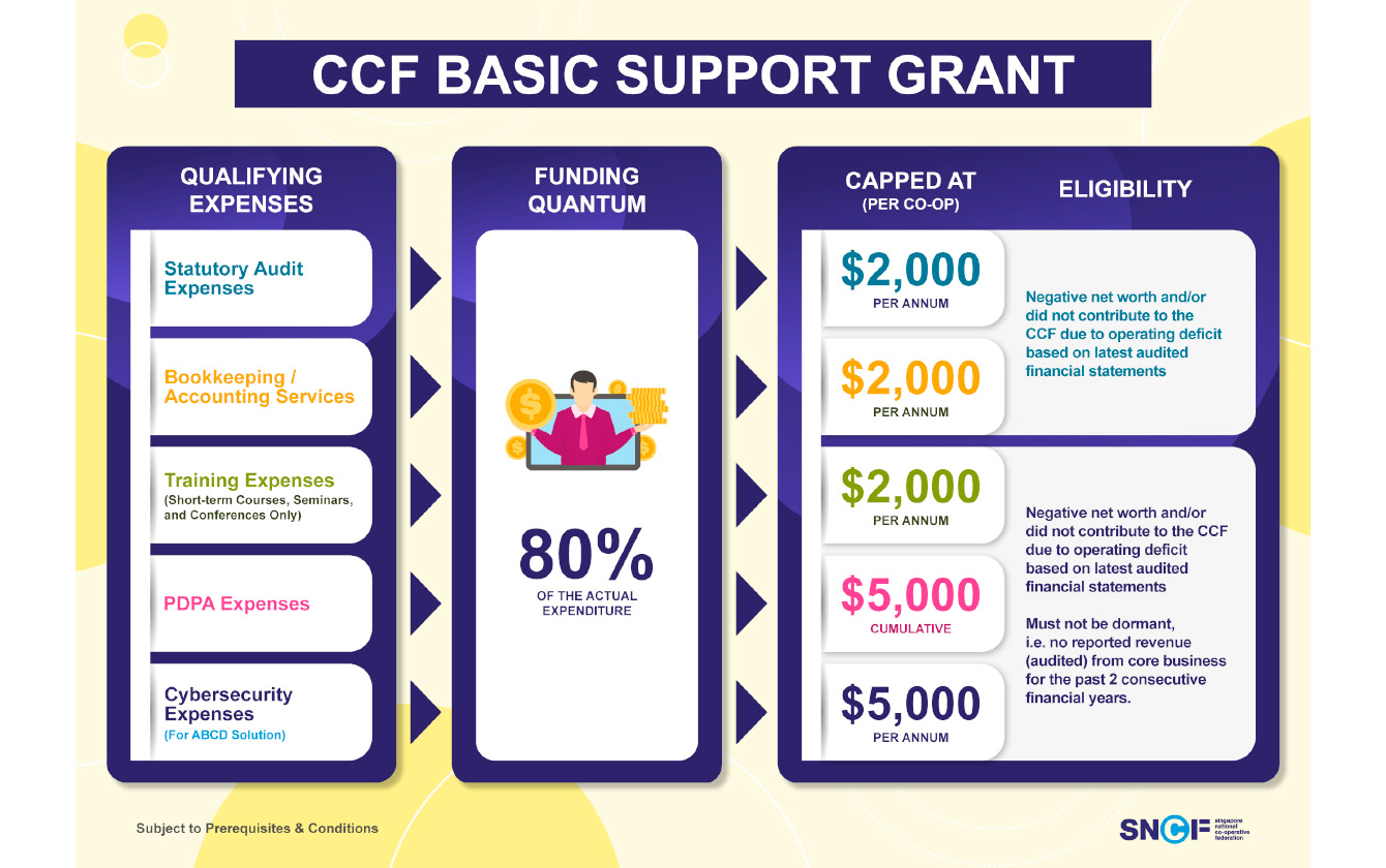 CCF Basic Support Grant